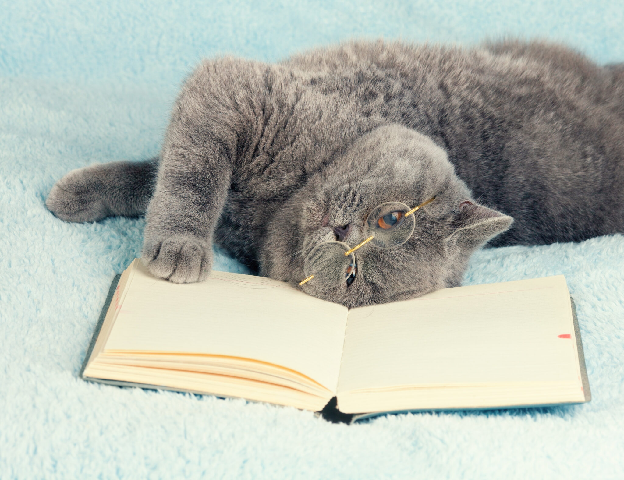 Talking Parentese | Early Literacy Learning