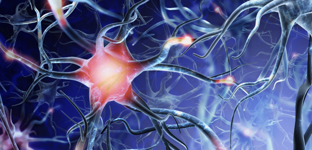 Neuron Networks | Brain Growth in Young Children